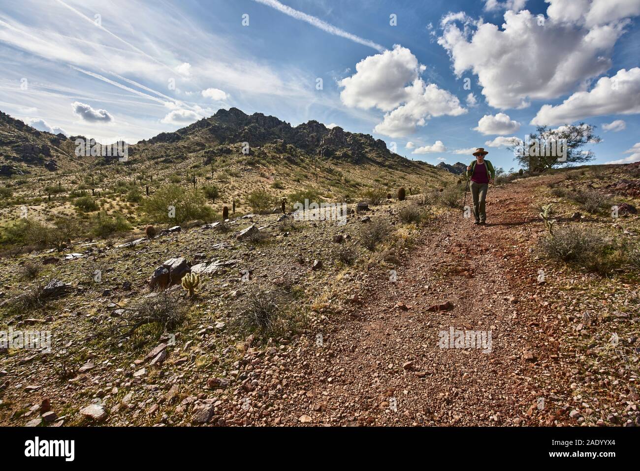 Phoenix Mountain Preserve. National park. Arizona. USA Stock Photo - Alamy
