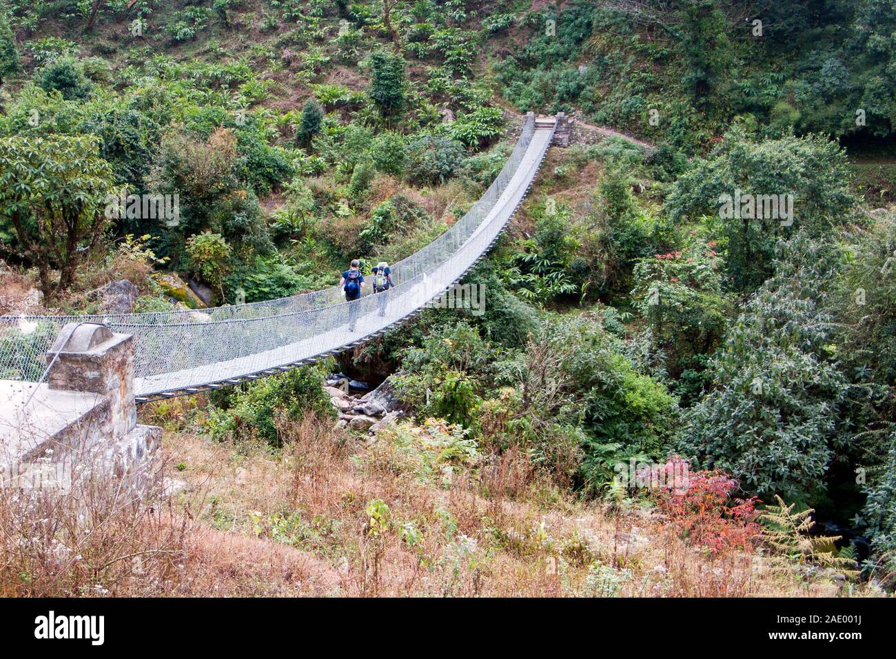 Nepal trail bridge forest hi-res stock photography and images - Alamy