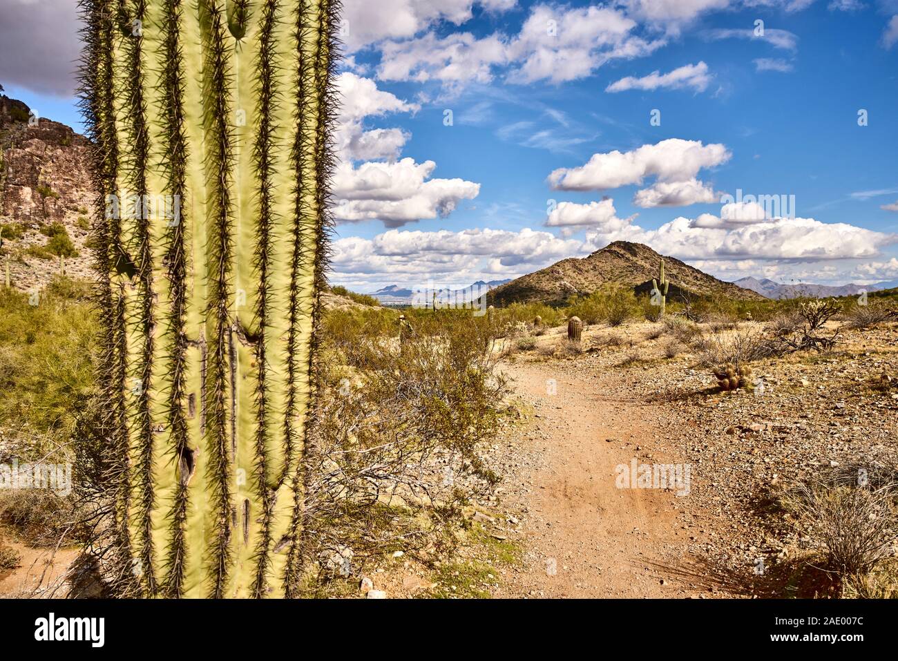 Phoenix Mountain Preserve. National park. Arizona. USA Stock Photo - Alamy