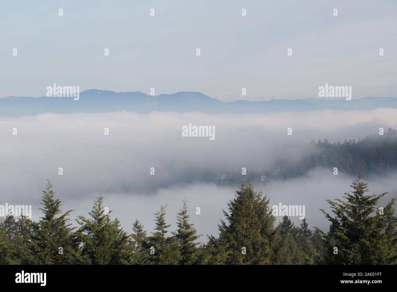 Fog covering most of the town of Eugene, Oregon, USA Stock Photo - Alamy