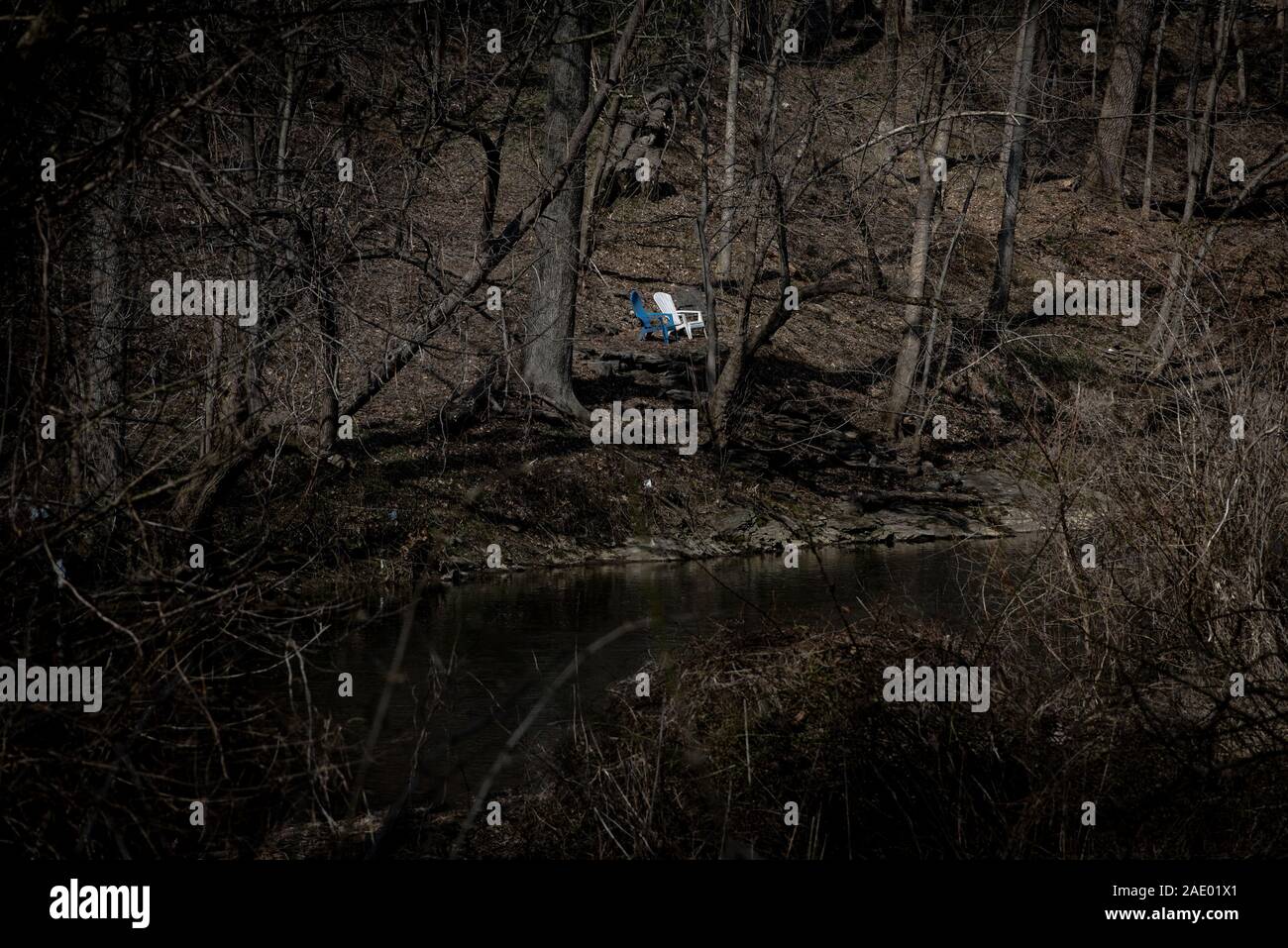 Idyllic stream walk Stock Photo - Alamy