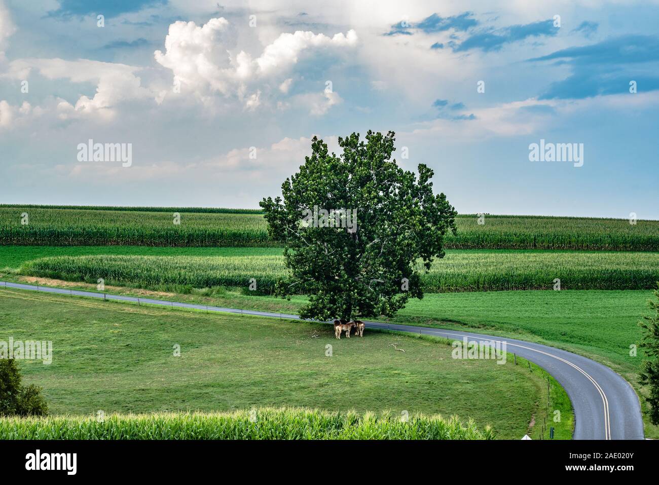 Bucolic country road through Lancaster county farm land Stock Photo - Alamy