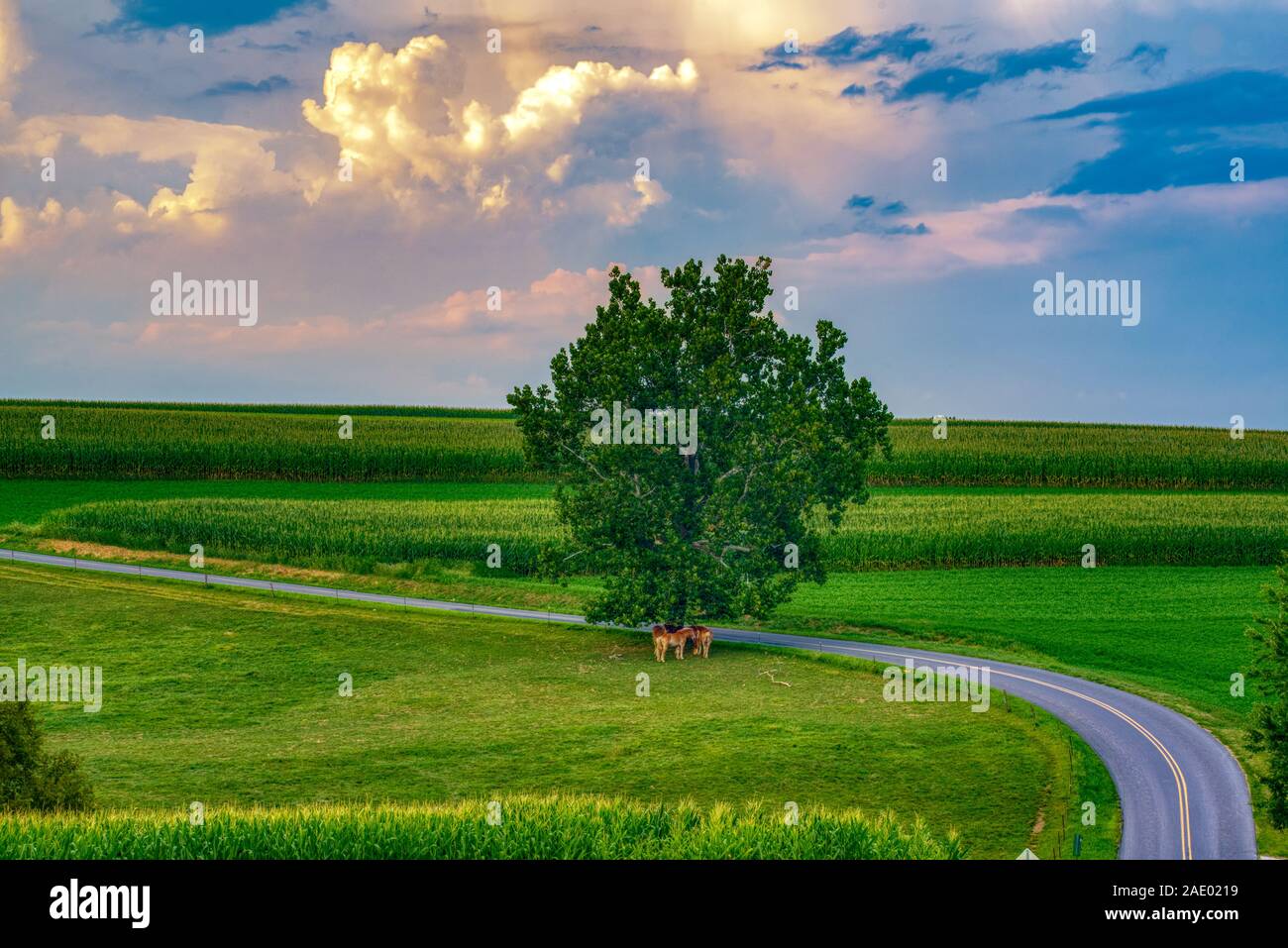 Country road through lancaster hi-res stock photography and images - Alamy