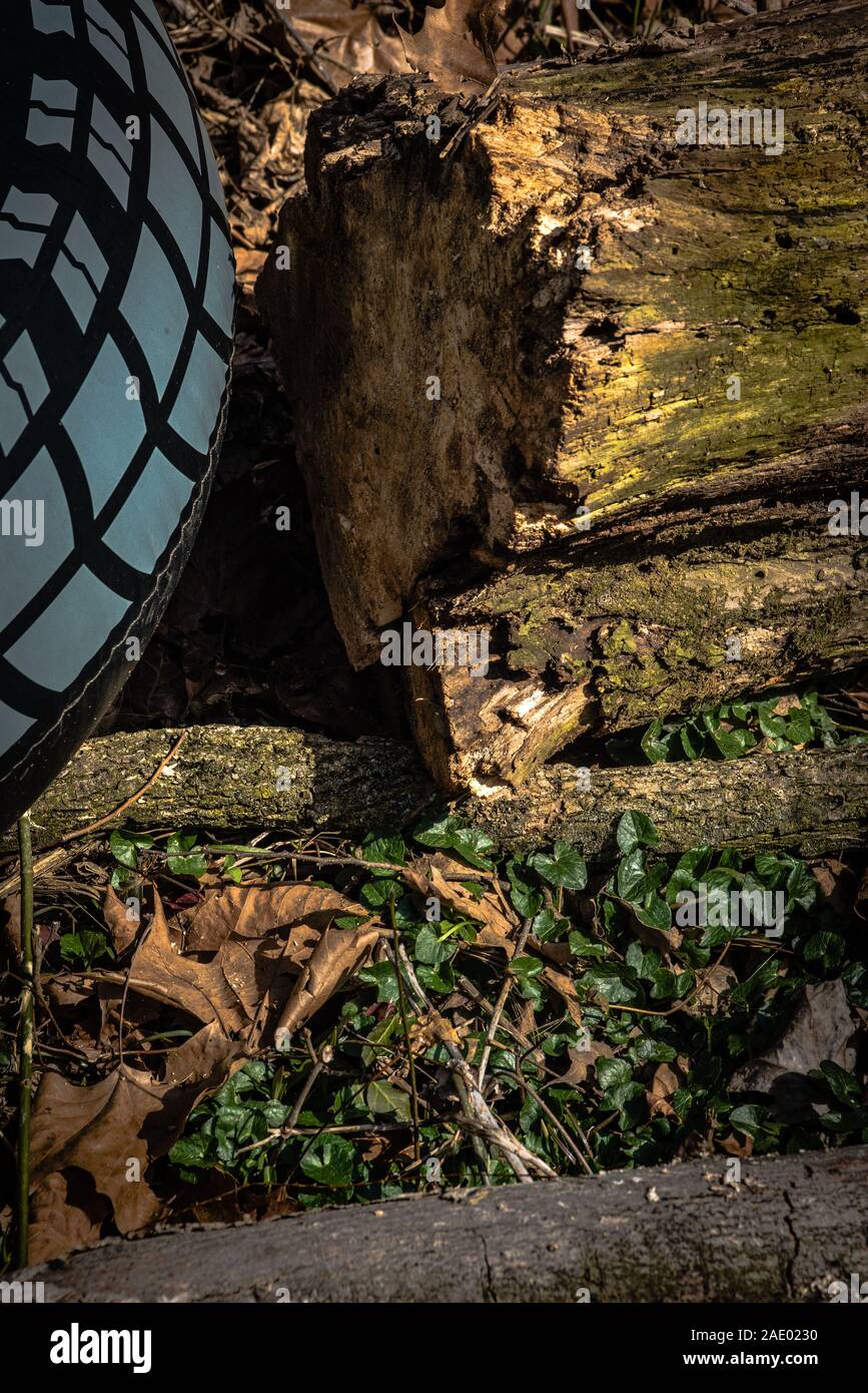 Nature scenes along small stream walk Stock Photo - Alamy