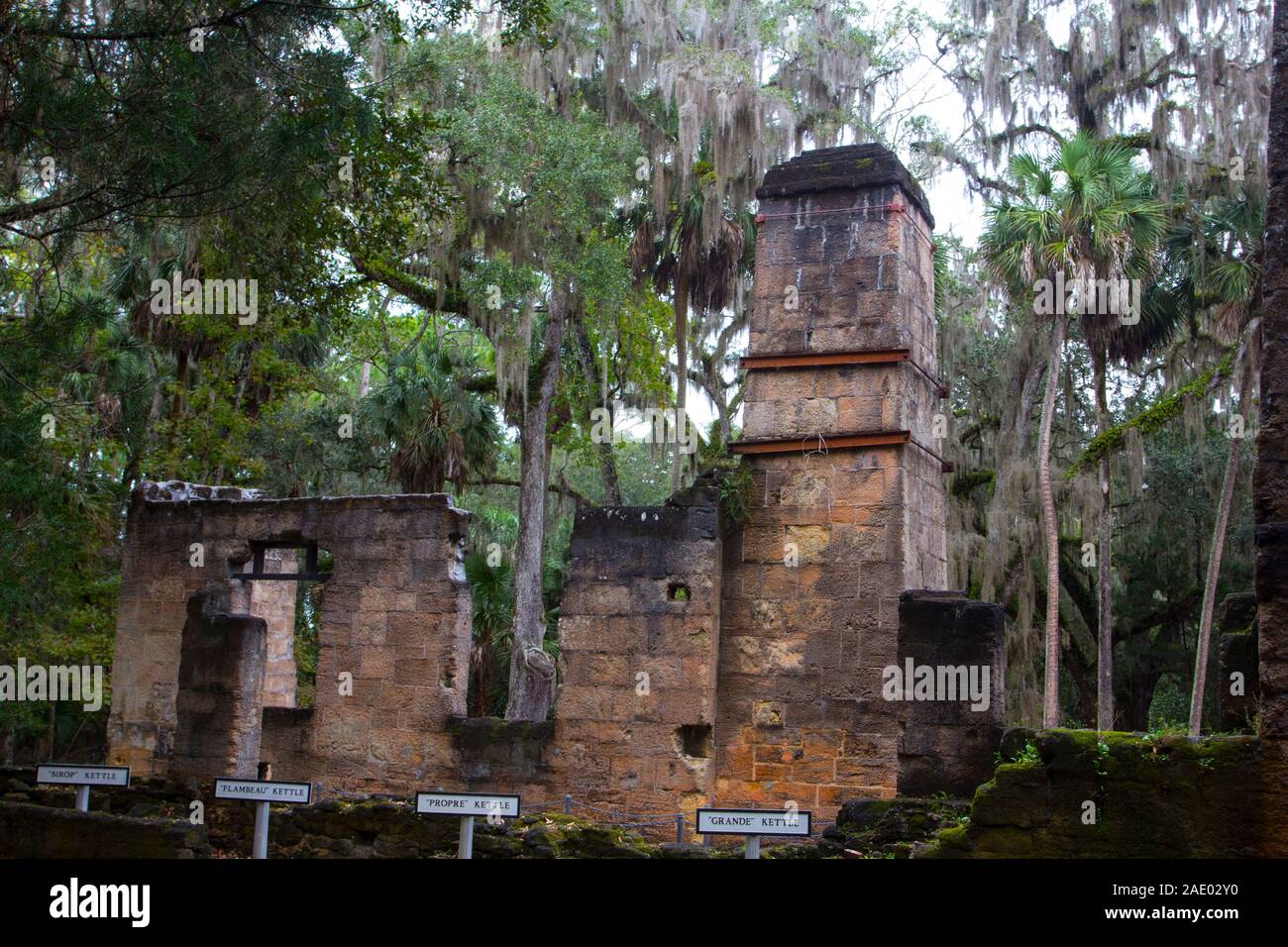 Bulow Plantation Ruins, Florida Stock Photo - Alamy