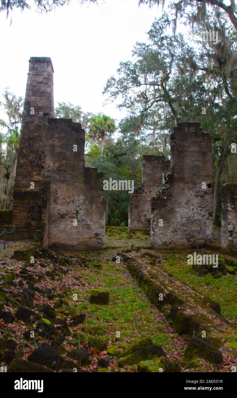 Bulow Plantation Ruins, Florida Stock Photo - Alamy