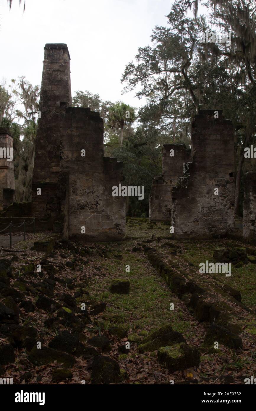 Bulow Plantation Ruins, Florida Stock Photo - Alamy