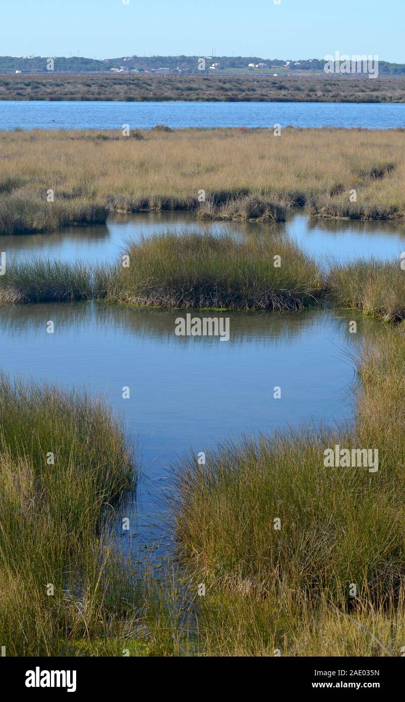 Castro Marim-Vila Real natural reserve (Algarve), the oldest protected ...