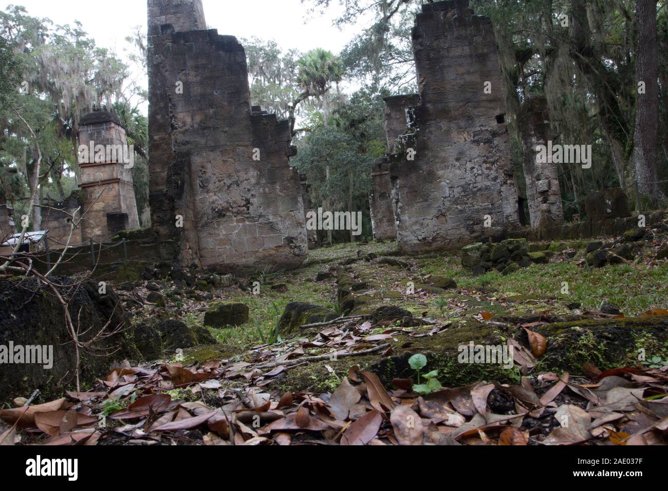 Bulow Plantation Ruins, Florida Stock Photo - Alamy