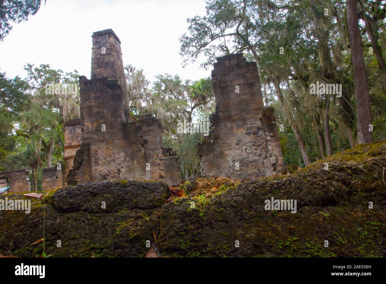 Bulow Plantation Ruins, Florida Stock Photo - Alamy