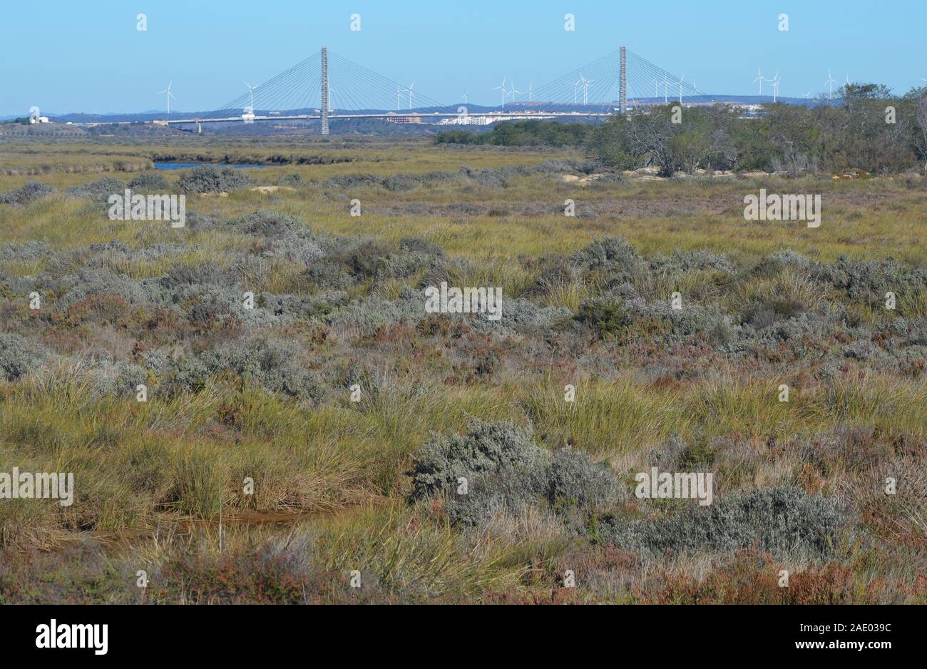 Castro Marim-Vila Real natural reserve (Algarve), the oldest protected ...