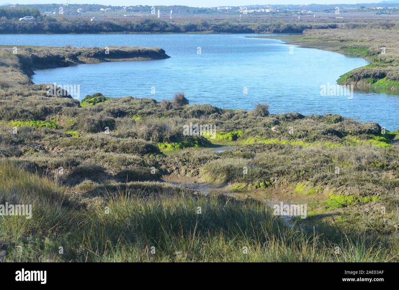 Castro Marim-Vila Real natural reserve (Algarve), the oldest protected ...