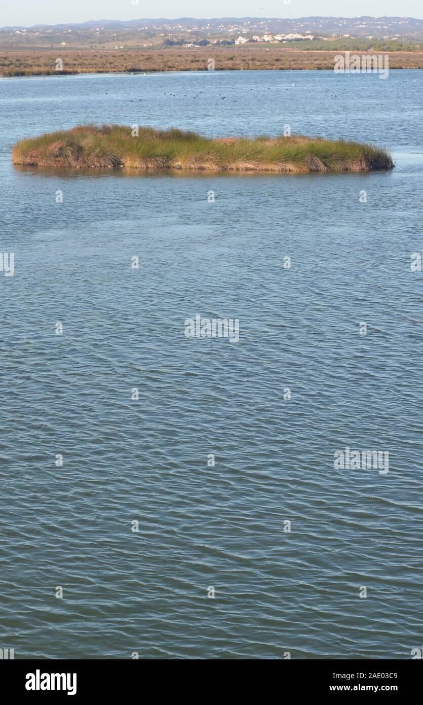 Castro Marim-Vila Real natural reserve (Algarve), the oldest protected ...