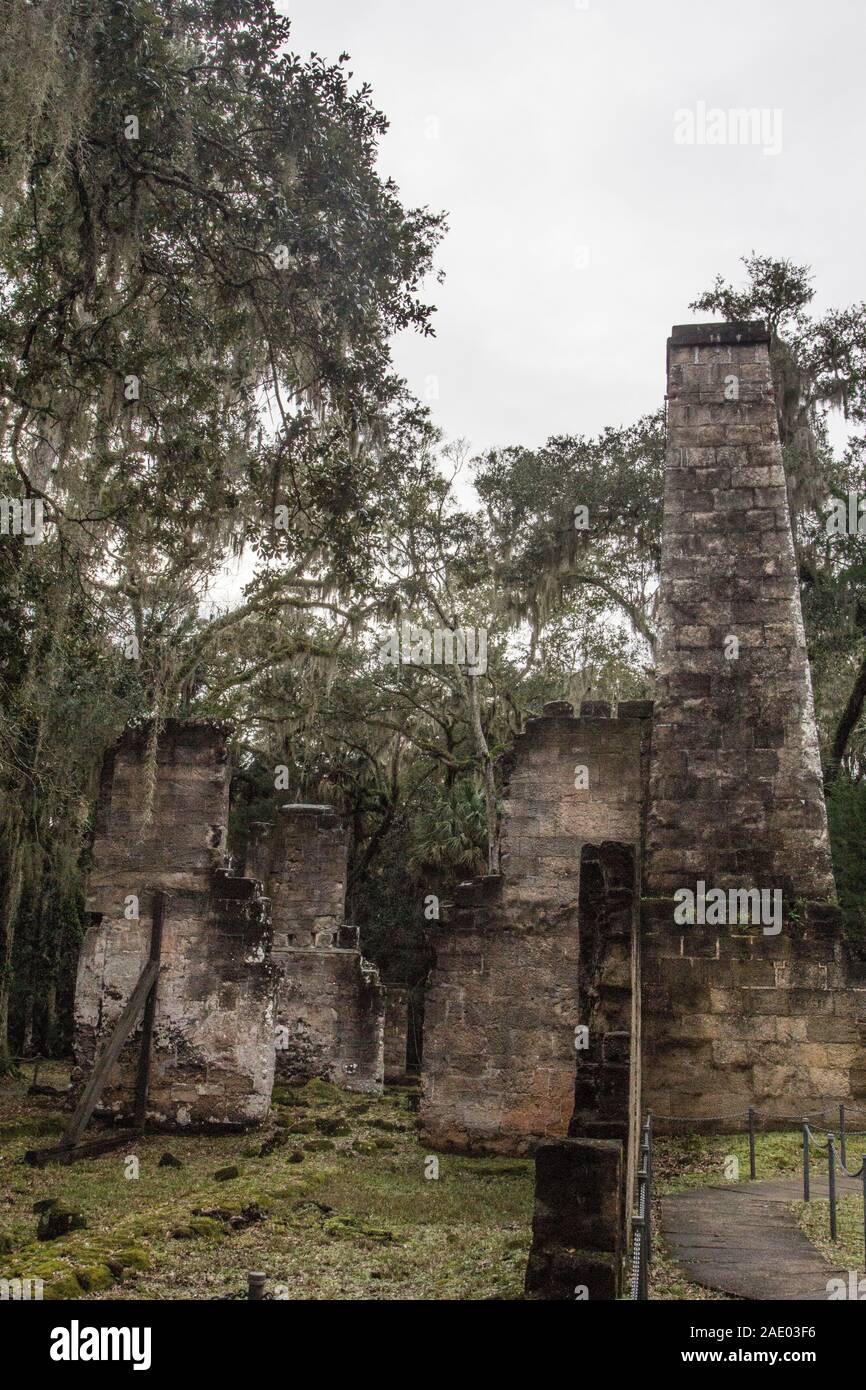 Bulow Plantation Ruins, Florida Stock Photo - Alamy
