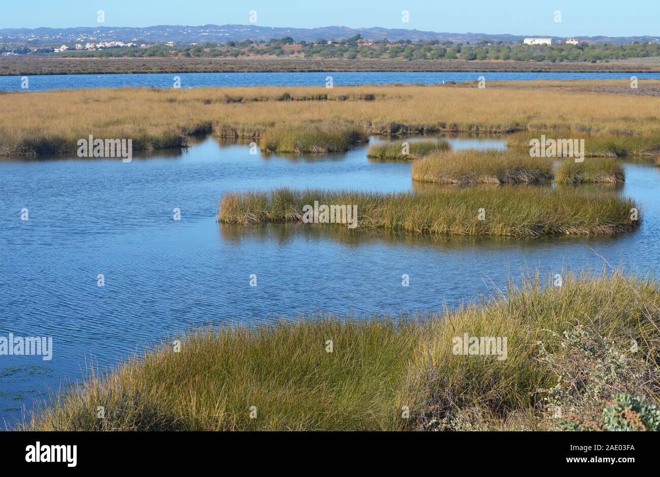 Castro Marim-Vila Real natural reserve (Algarve), the oldest protected ...
