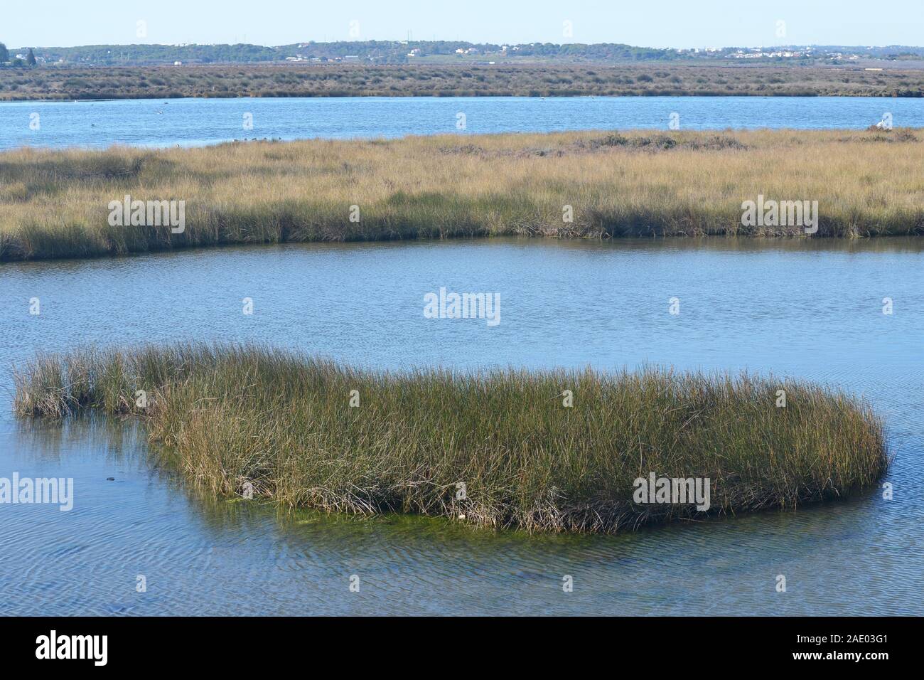 Castro Marim-Vila Real natural reserve (Algarve), the oldest protected ...