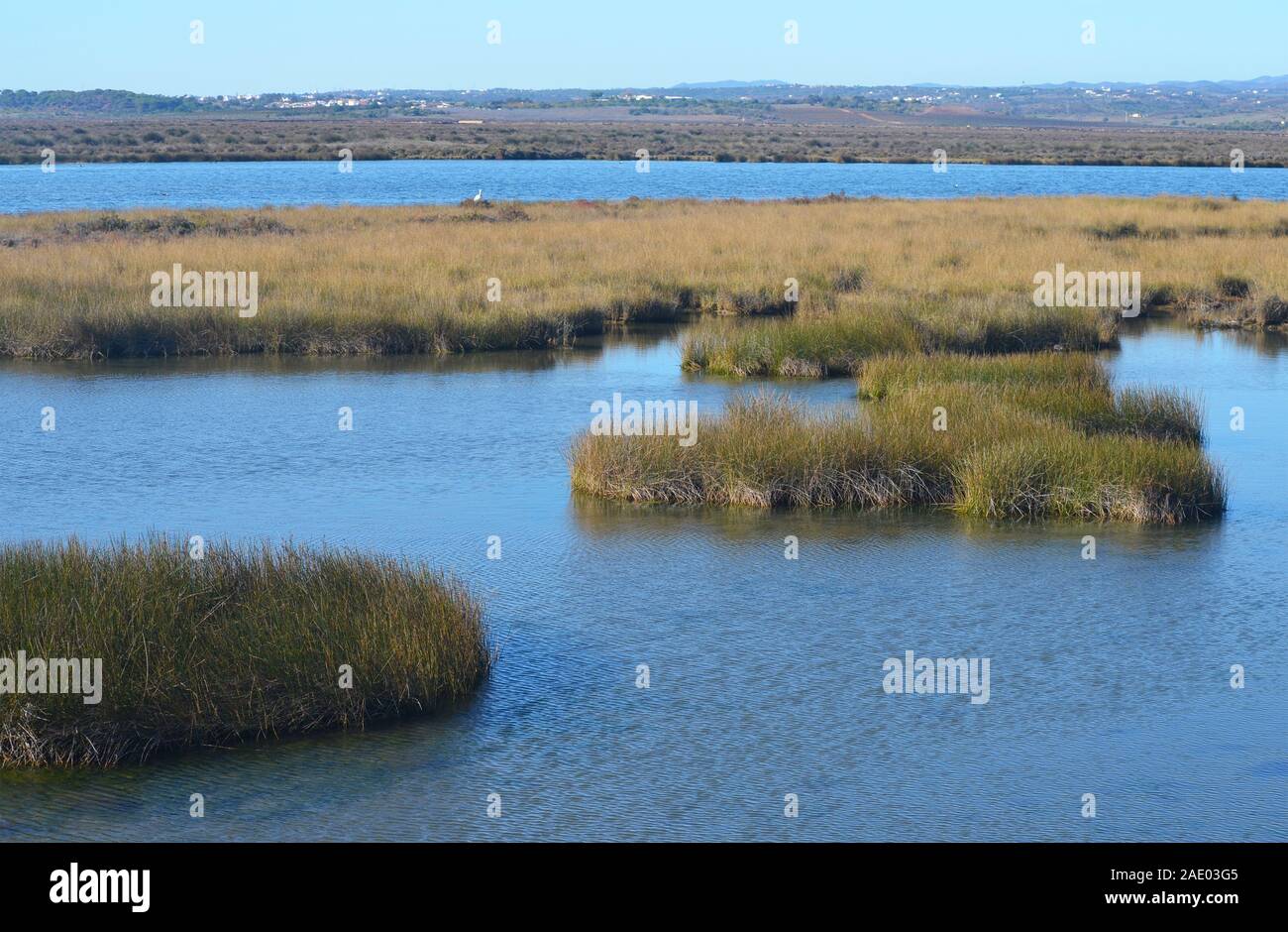 Castro Marim-Vila Real natural reserve (Algarve), the oldest protected ...