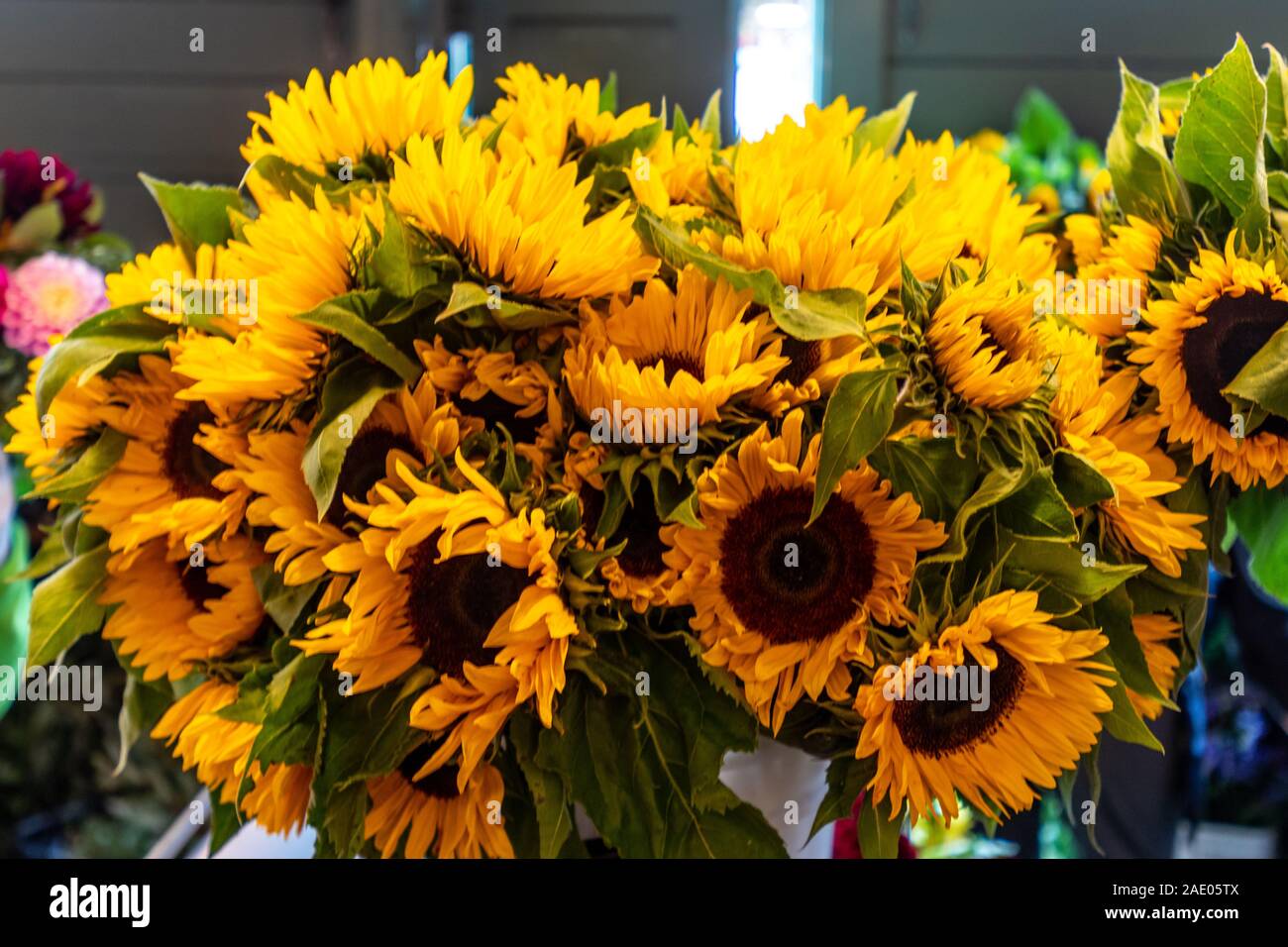 Sunflower Bouquet in outdoor farmers market Stock Photo - Alamy