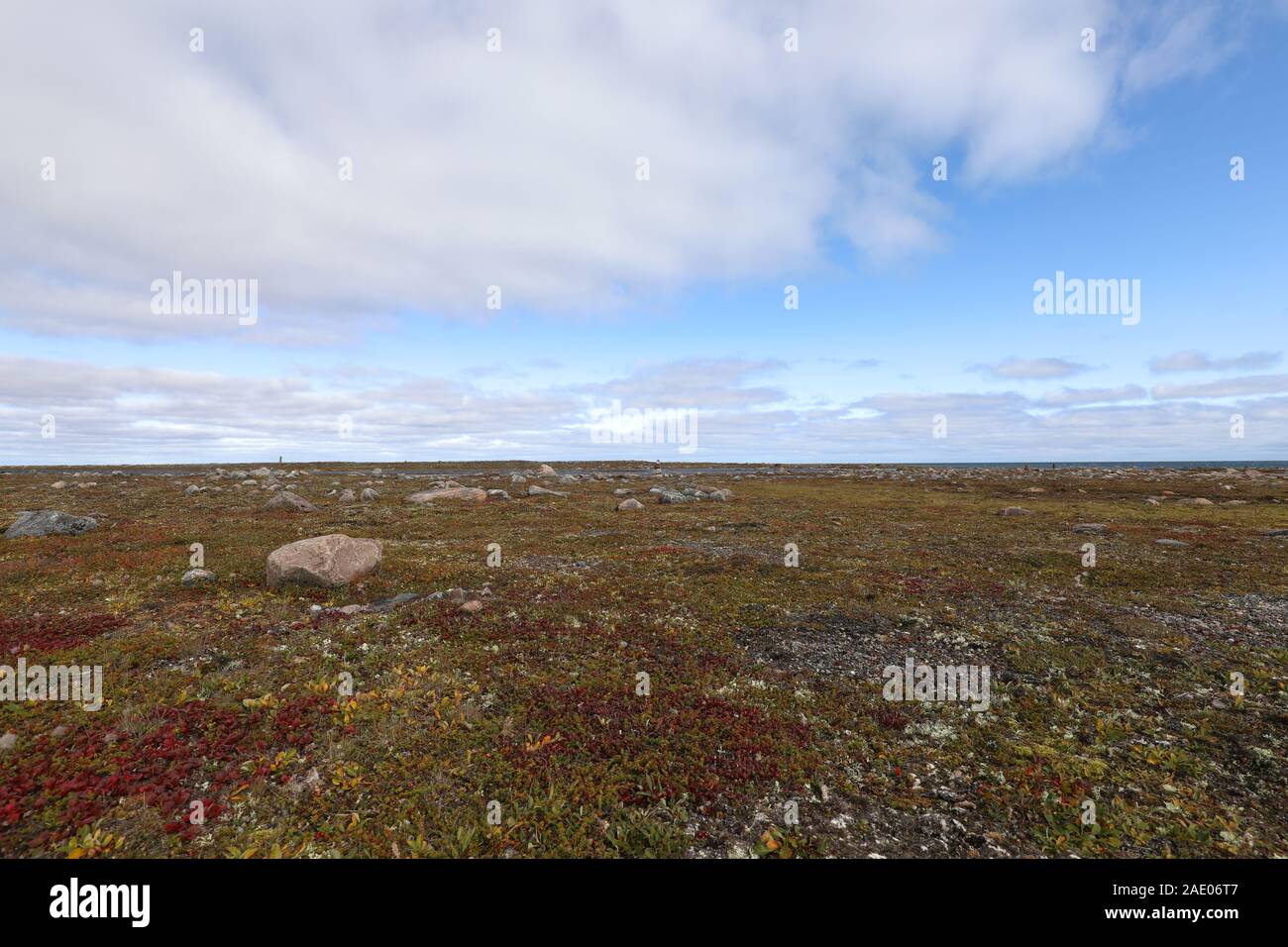Arctic landscape going into fall colours with blue skies and some ...