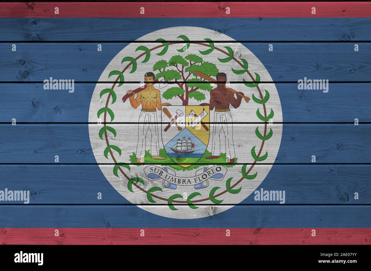 Belize flag depicted in bright paint colors on old wooden wall close up ...