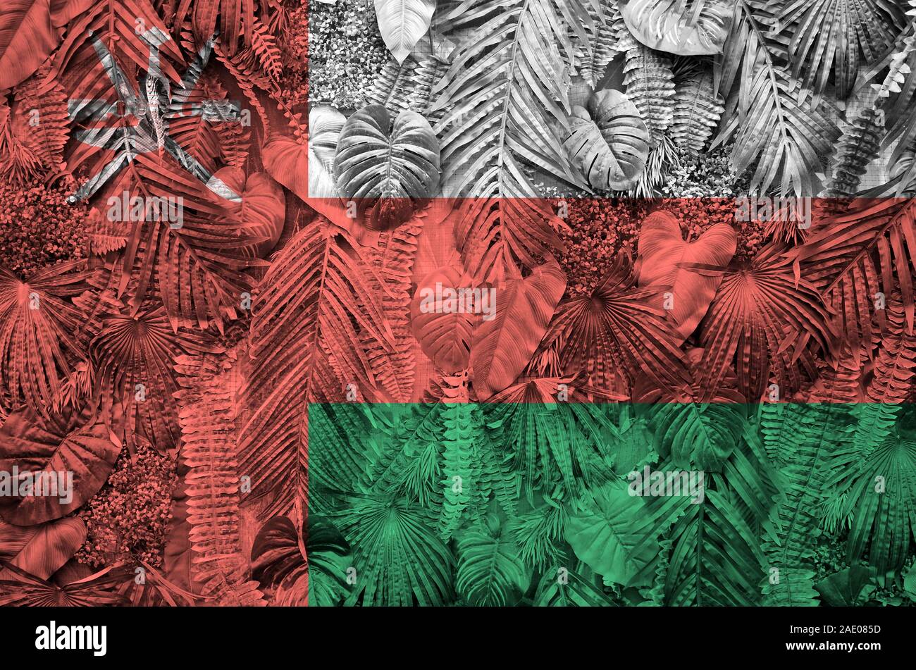 Oman flag depicted on many leafs of monstera palm trees. Trendy ...