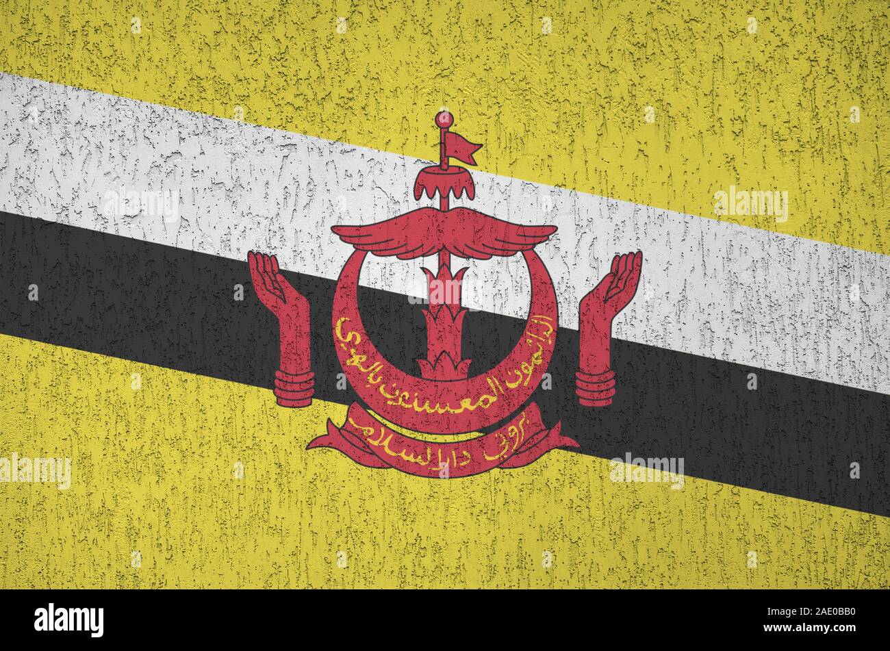 Brunei Darussalam flag depicted in bright paint colors on old relief ...