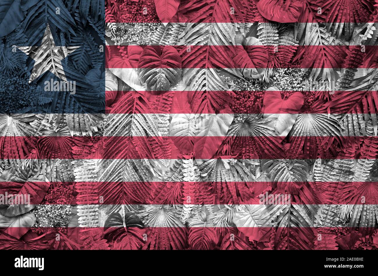 Liberia flag depicted on many leafs of monstera palm trees. Trendy ...