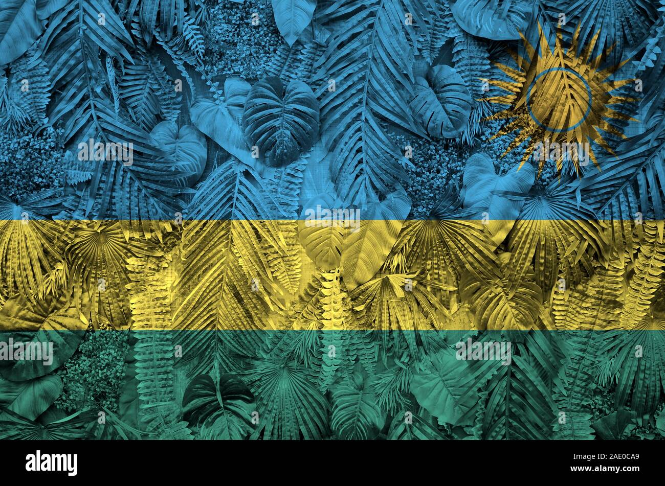Rwanda flag depicted on many leafs of monstera palm trees. Trendy ...