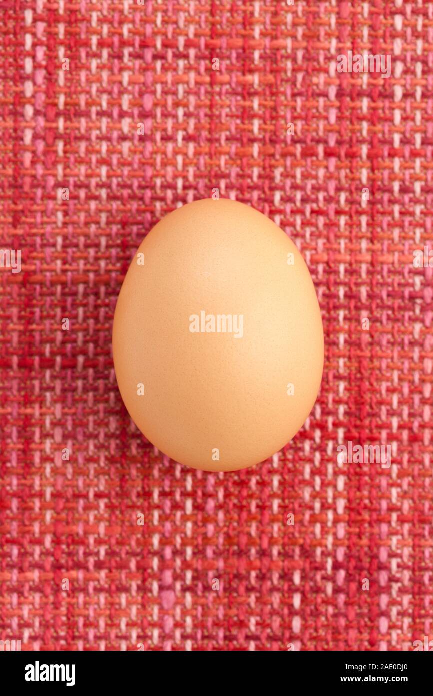 Single brown egg on red background Stock Photo - Alamy