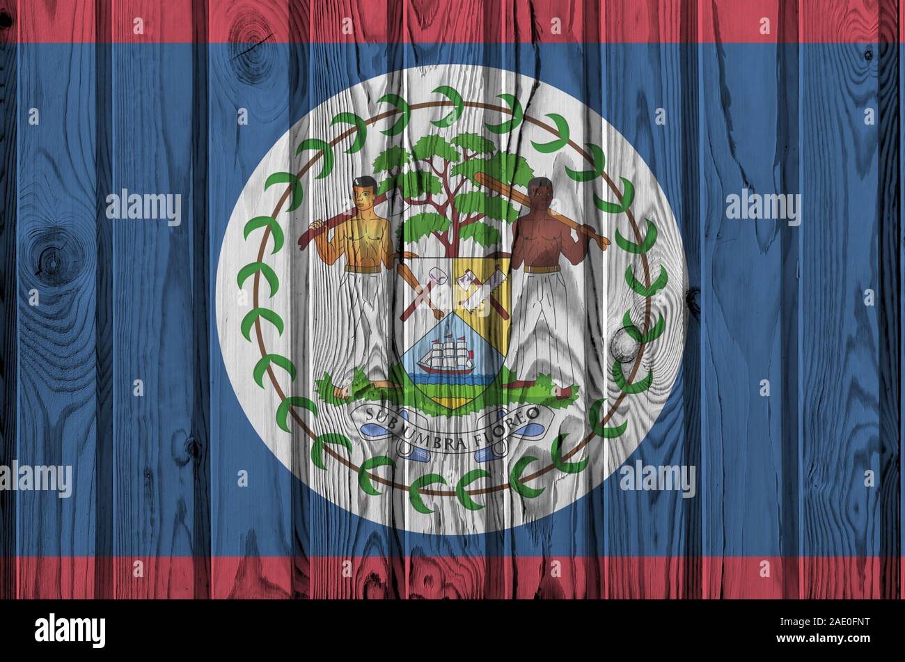Belize flag depicted in bright paint colors on old wooden wall close up ...