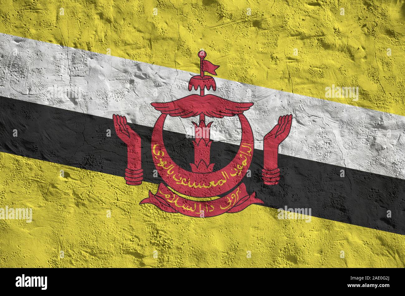 Brunei Darussalam flag depicted in bright paint colors on old relief ...