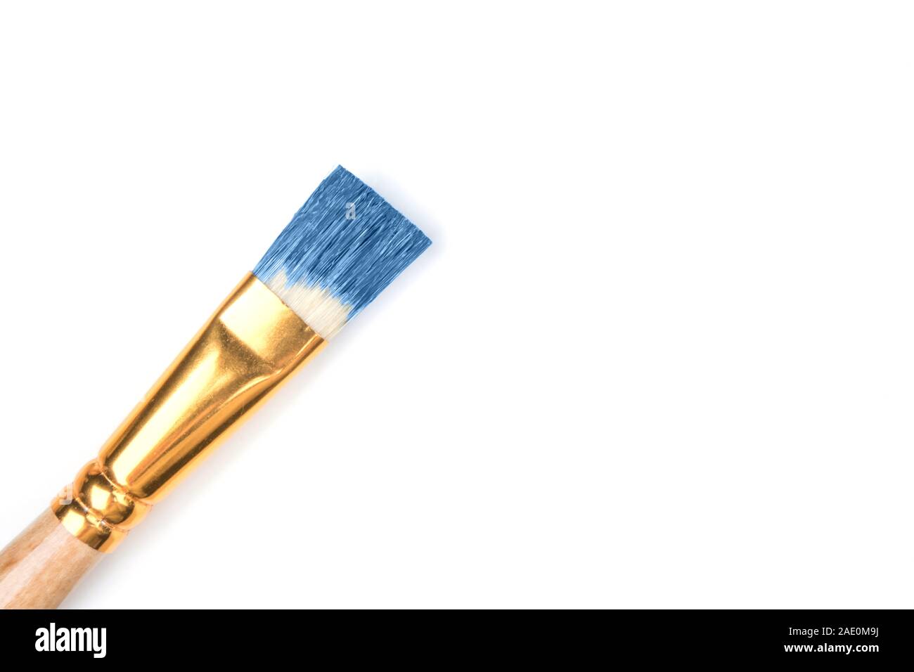 Brush with natural bristles in blue paint on a white isolated ...