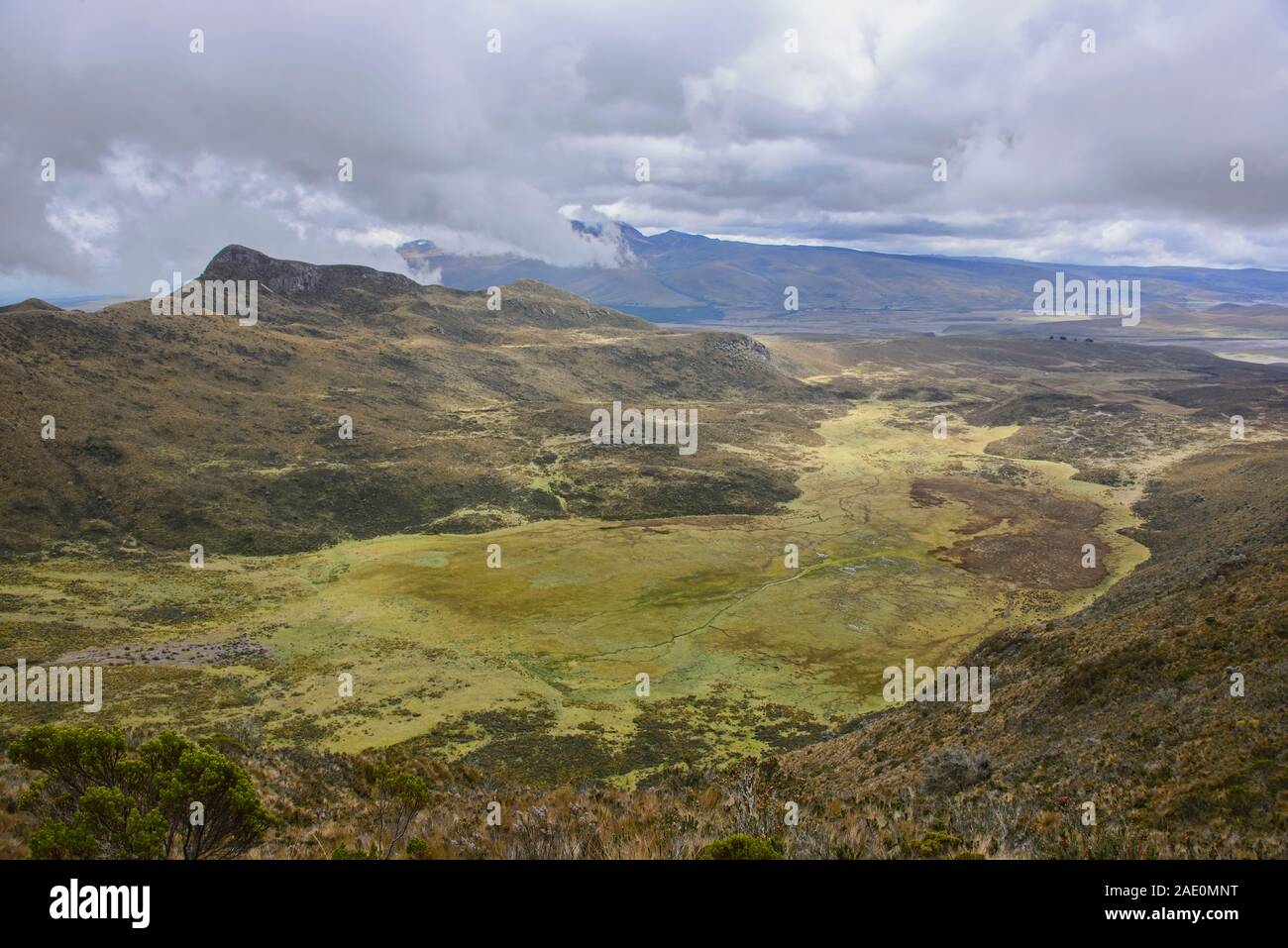 Ruminahui hi-res stock photography and images - Alamy