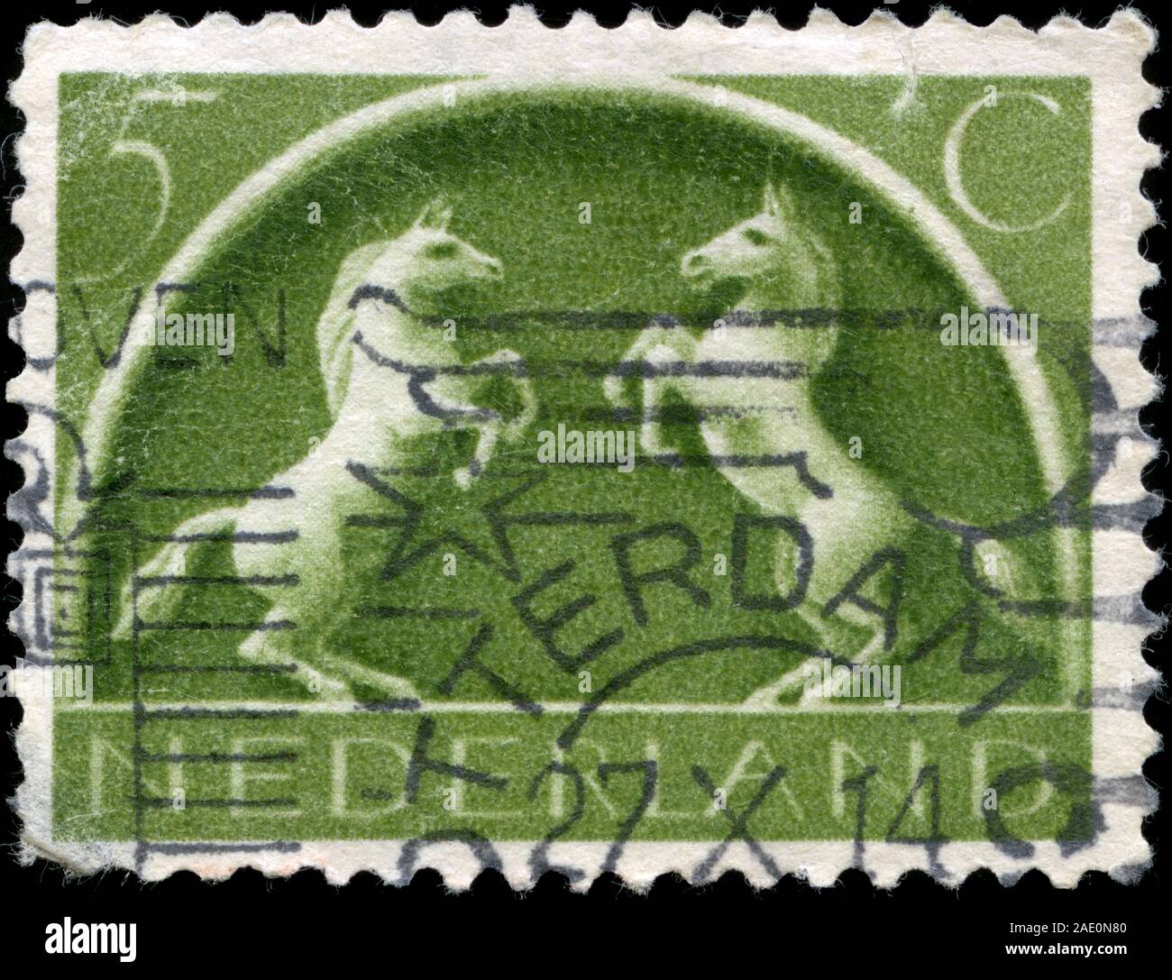 Prancing horses hi-res stock photography and images - Alamy