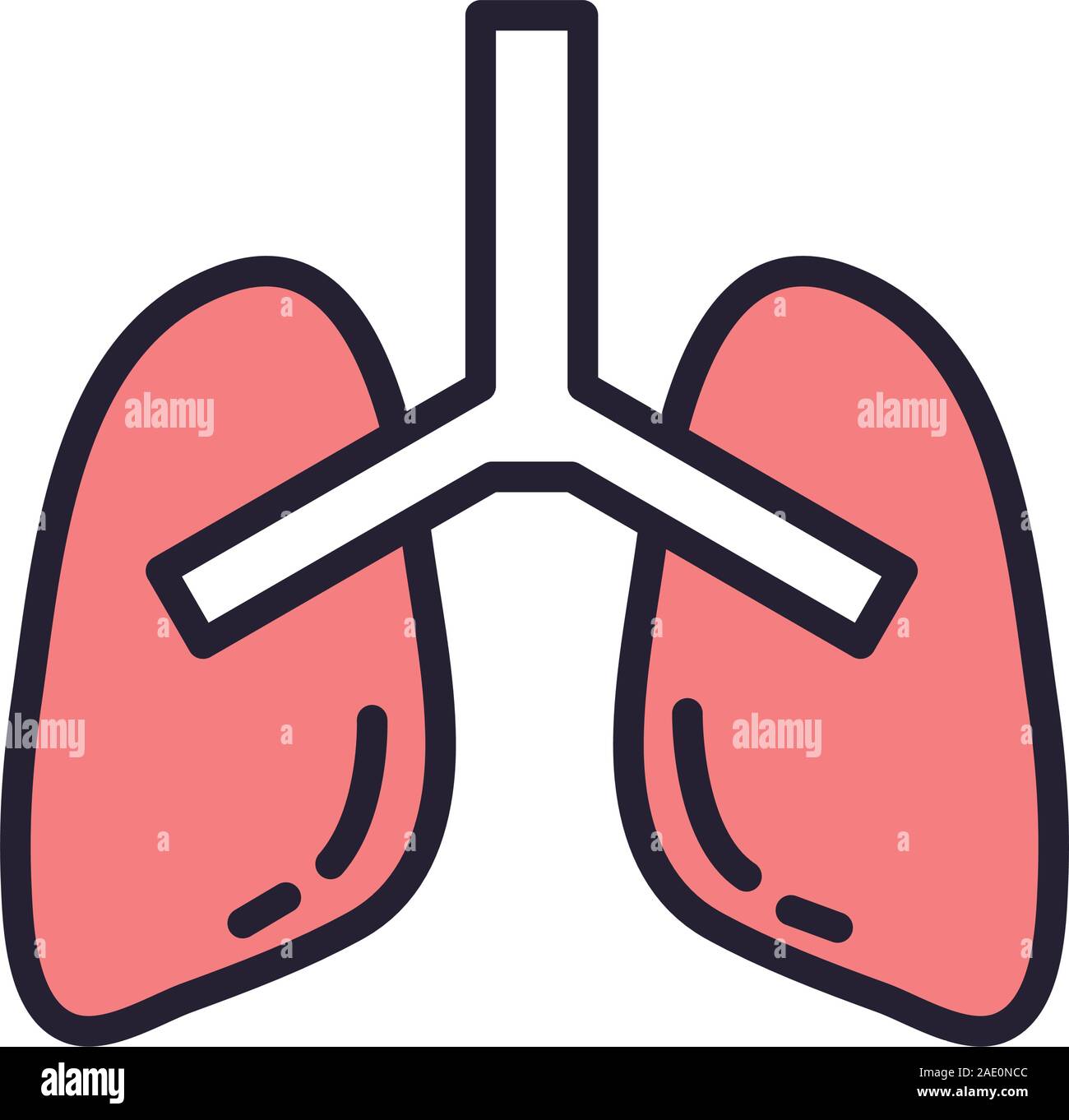 Normal healthy lungs Stock Vector Images - Alamy