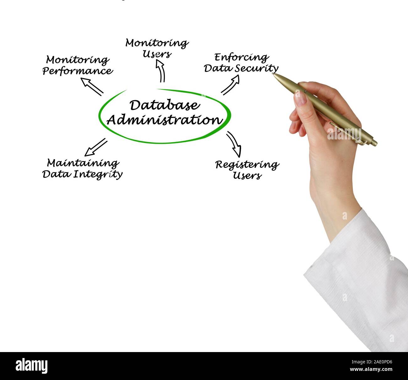 Diagram of Database Administration Stock Photo - Alamy