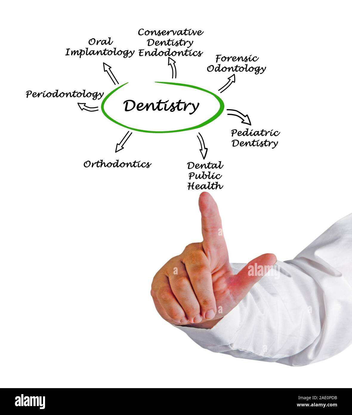 Diagram of Dentistry Stock Photo - Alamy