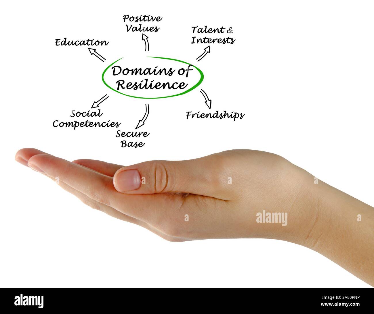 Domains of resilience Stock Photo - Alamy