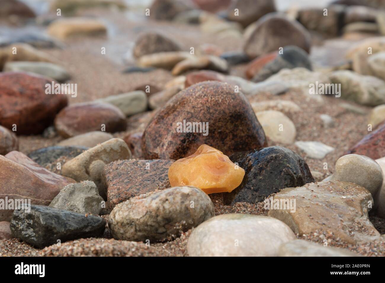 Amber on a beach of the Baltic sea Stock Photo - Alamy