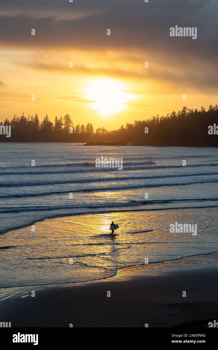 Surfer tofino hi-res stock photography and images - Alamy