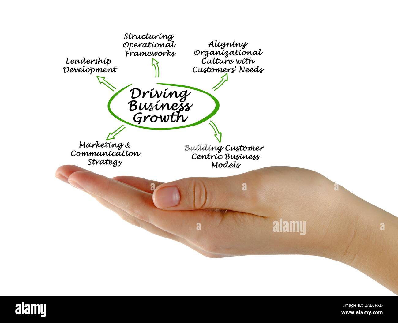 Driving Business Growth Stock Photo - Alamy Driving Business Growth Stock Photo - Alamy