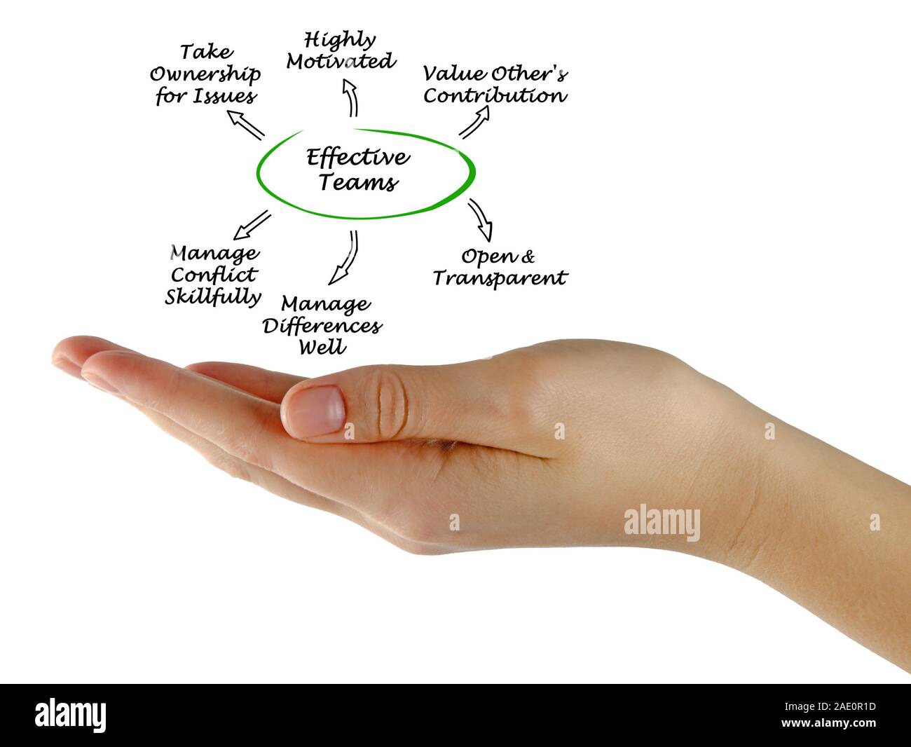 Effective leader Cut Out Stock Images & Pictures - Alamy