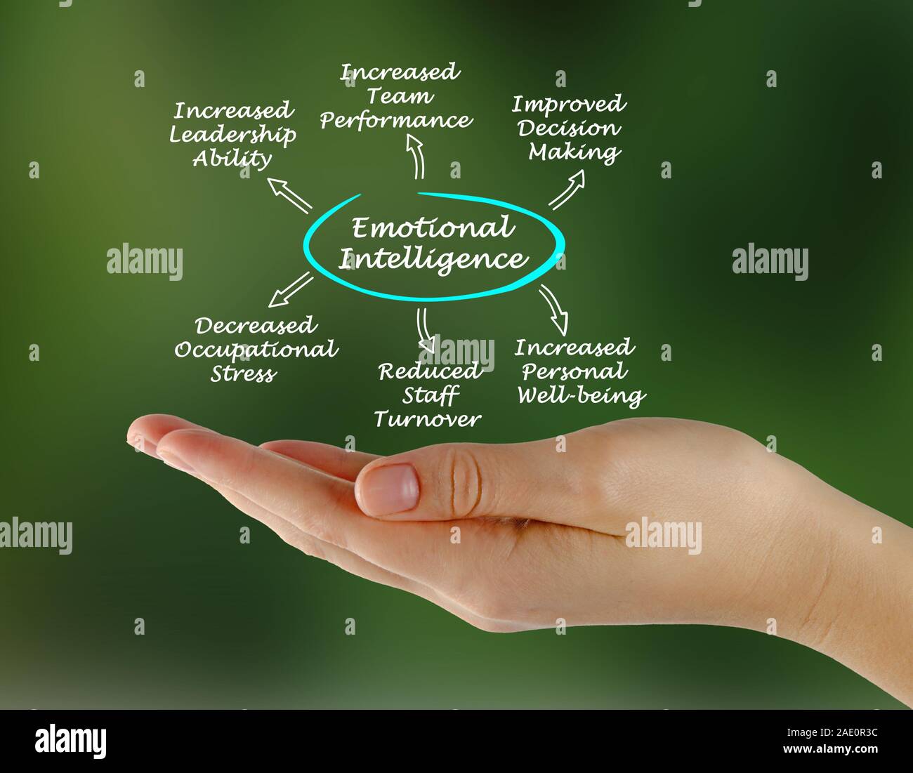Emotional intelligence hi-res stock photography and images - Alamy