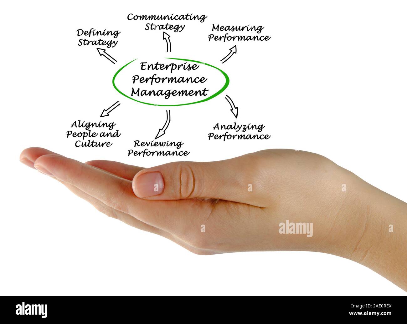 Diagram of Enterprise Performance Management Stock Photo - Alamy