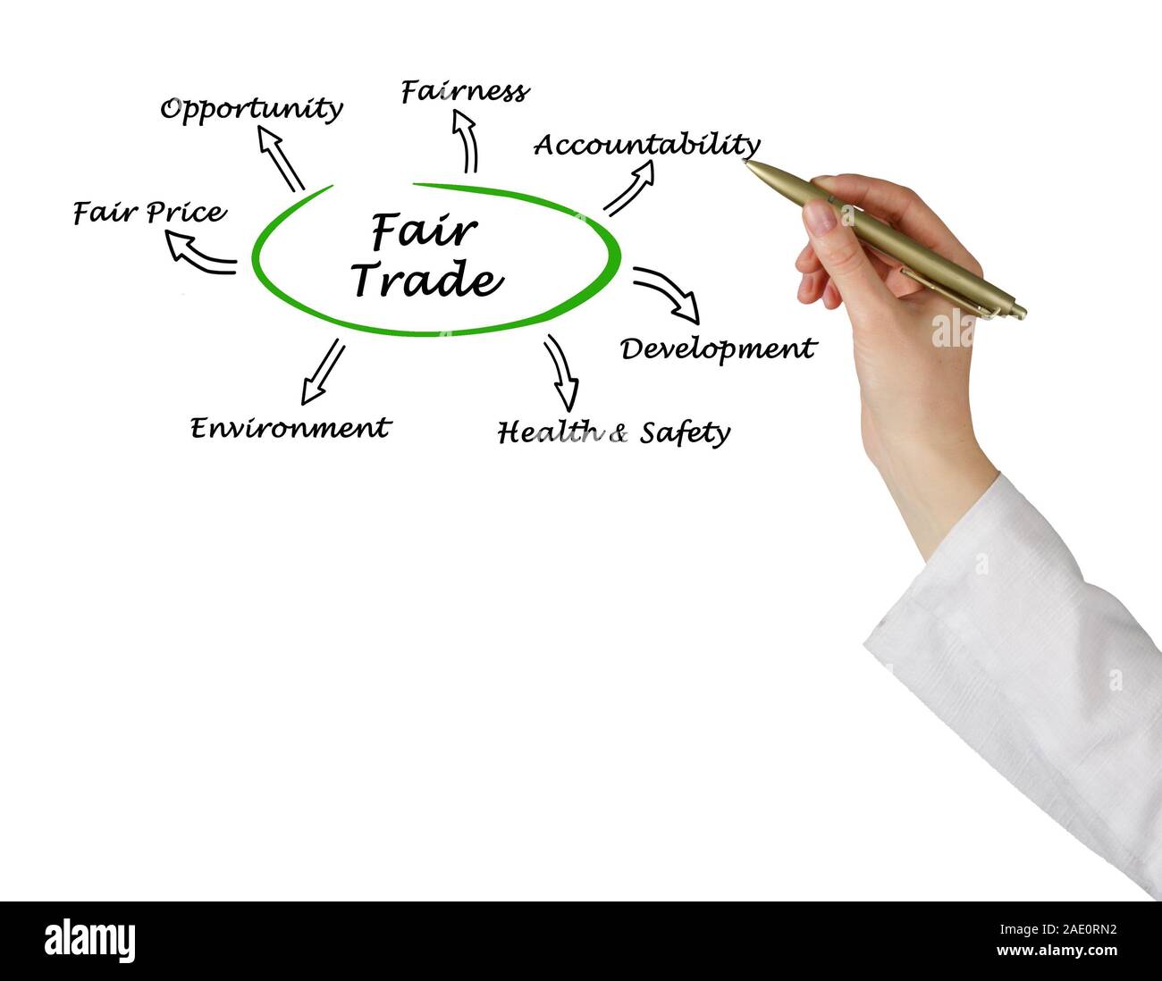 Fair Trade Flow Diagram Truth & Beauty
