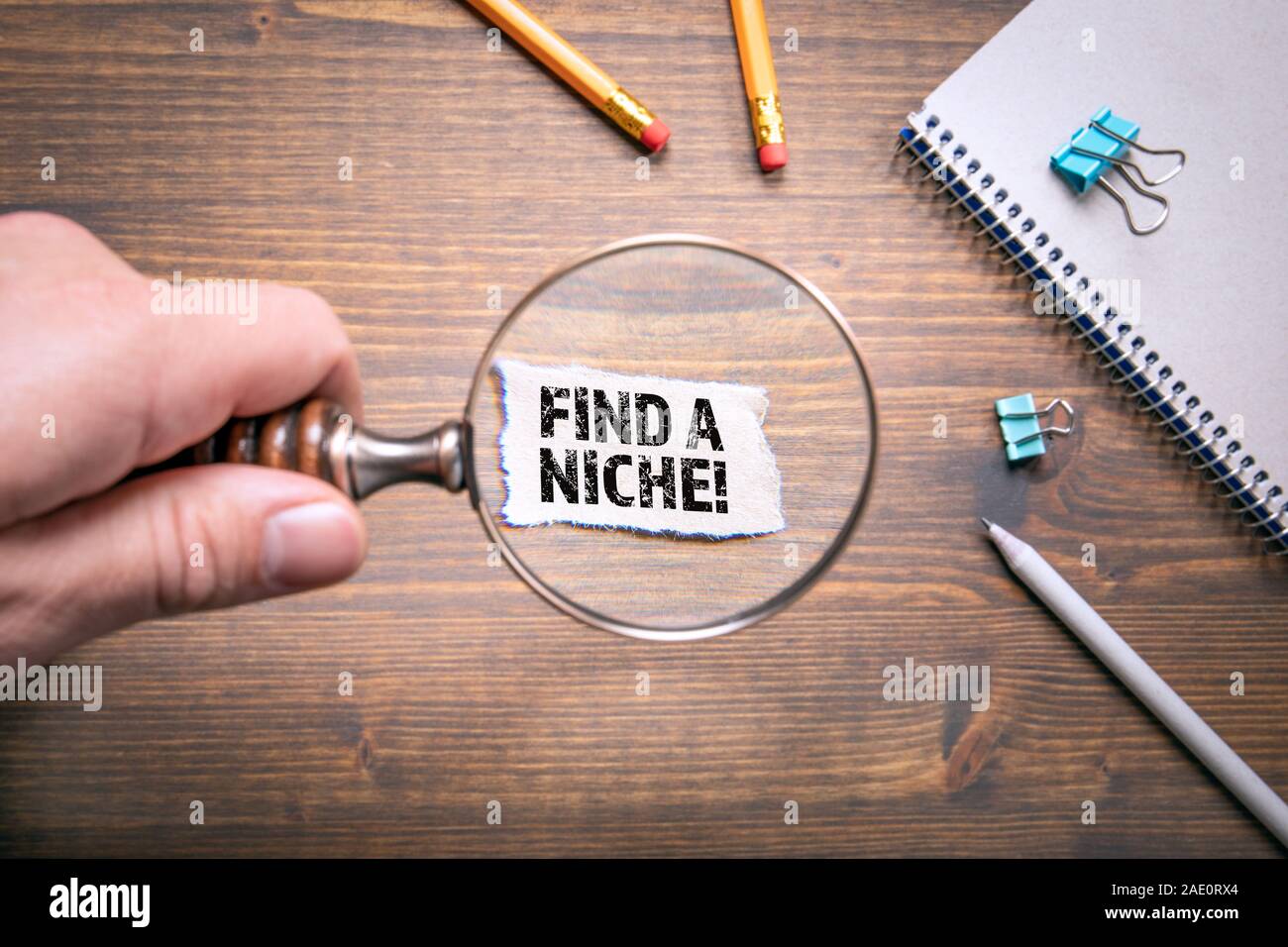 Find a niche. Business, Research, Knowledge and Development concept ...