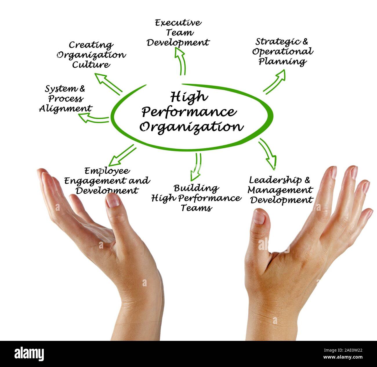 Employee performance development Cut Out Stock Images & Pictures - Alamy