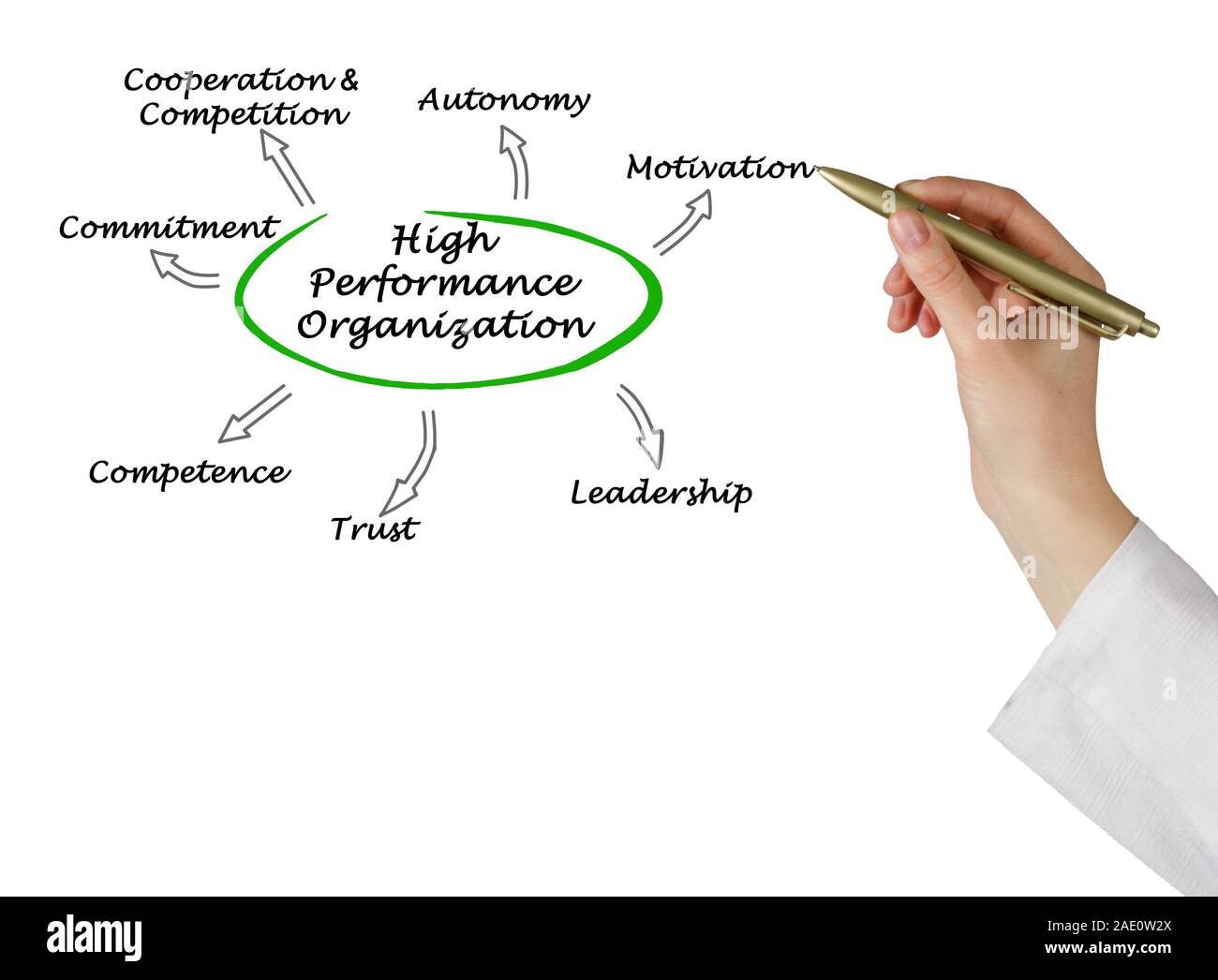 High performance organization hi-res stock photography and images - Alamy