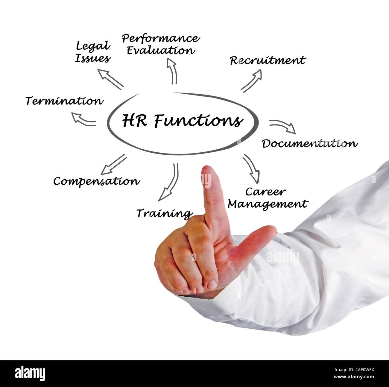 Diagram of HR Functions Stock Photo - Alamy