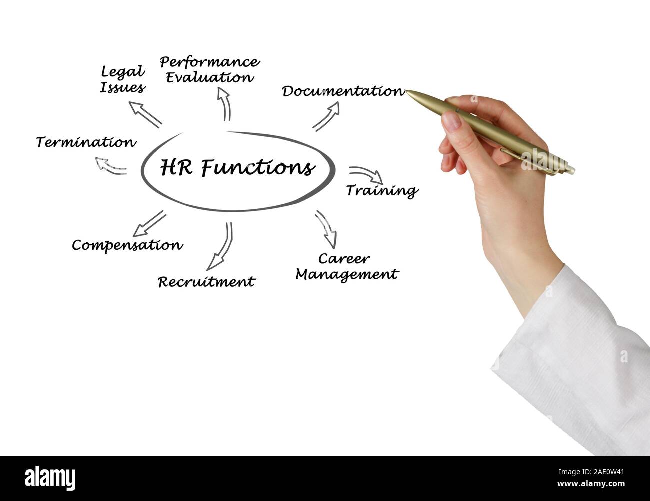 Diagram of HR Functions Stock Photo - Alamy
